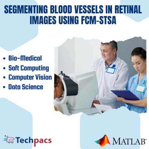 Enhancing Retinal Blood Vessel Segmentation Using FCM-STSA Algorithm ... Enhancing Retinal Blood Vessel Segmentation Using FCM-STSA Algorithm ...
